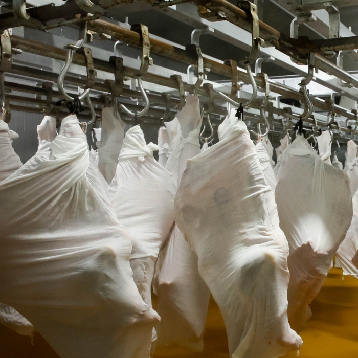 Al Akbar - Cattle & Dairy Farm